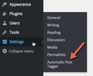 How to Auto Tag WordPress Posts?